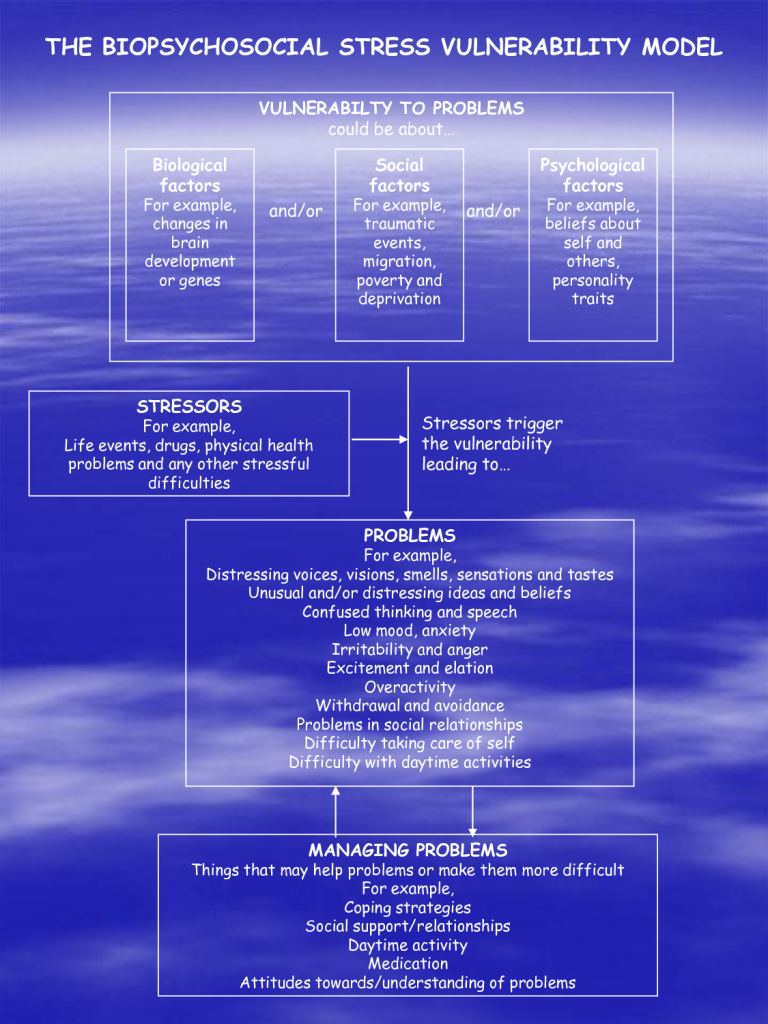 Biopsychosocial vulnerability